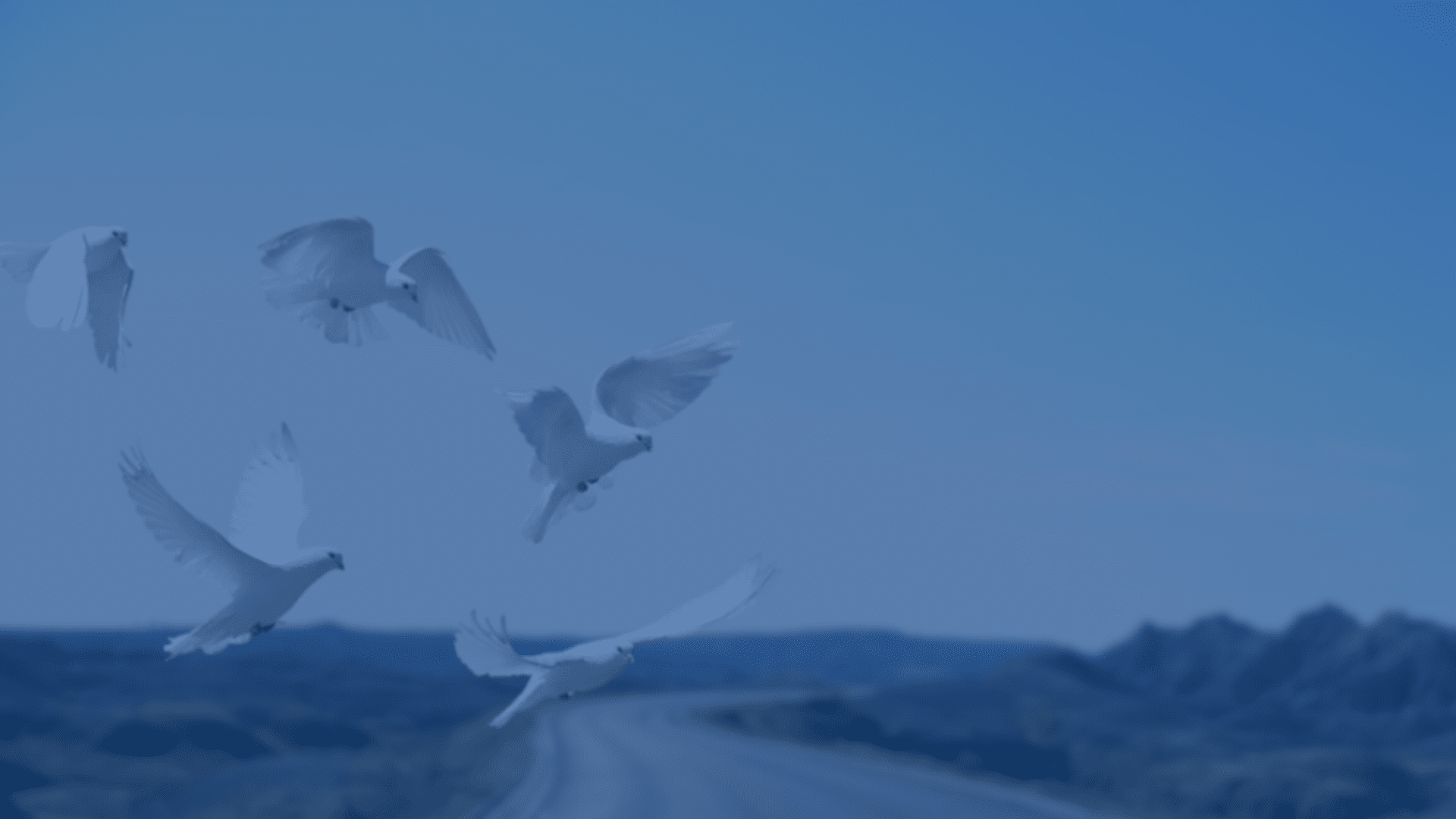 AUDIT: Academy Phase 1: Module 4: Types of Revelation & Dreams ...