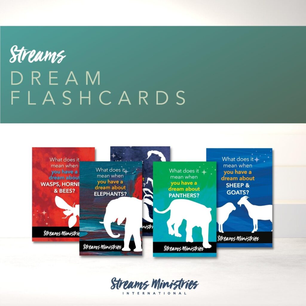 Family Dream Bundle | Streams Ministries International